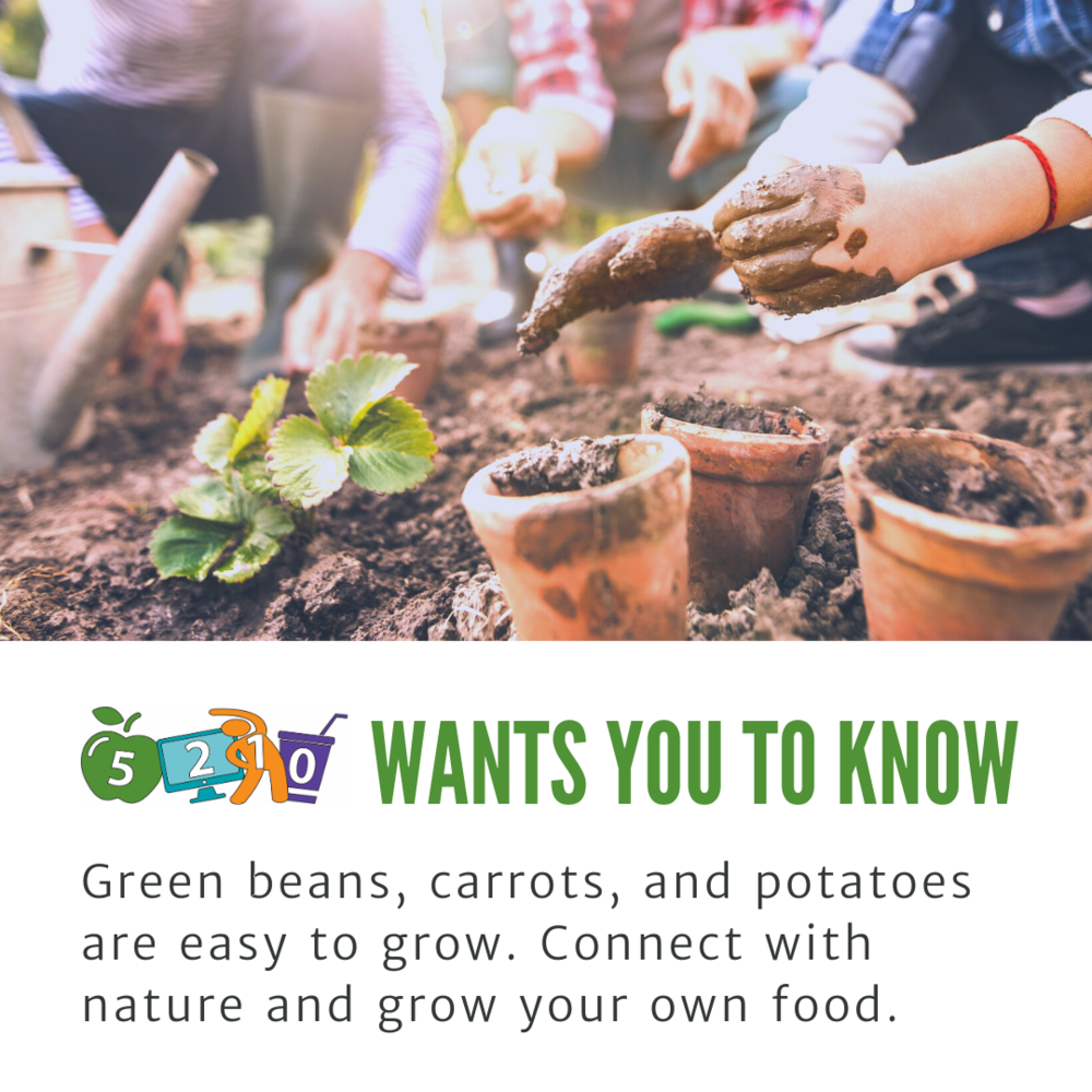 5210 Healthy Habits Fruits and Veggies | Shoal River Middle School